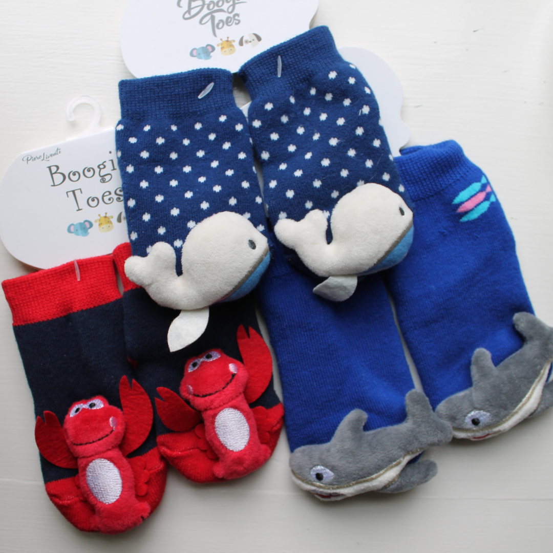 Shark Boogie Toes – SoHo Arts Company